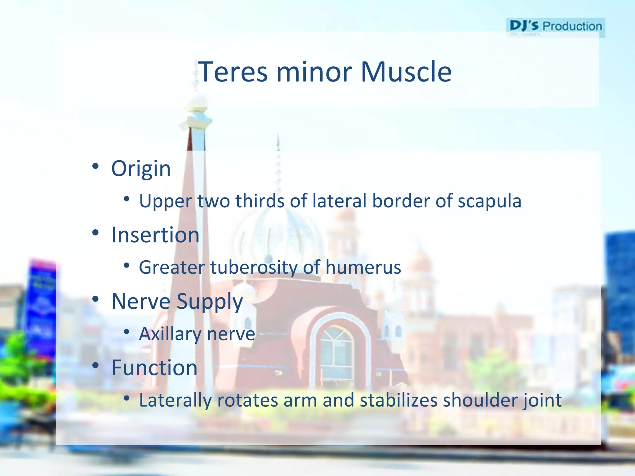Shoulder girdle and brachial plexus anatomy | PPT