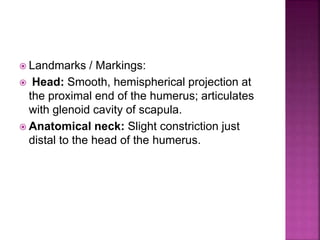 Appendicular Skeleton-Shoulder girdle and upper limb | PPTX