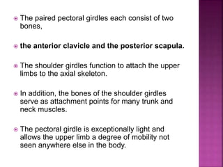 Appendicular Skeleton-Shoulder girdle and upper limb | PPTX