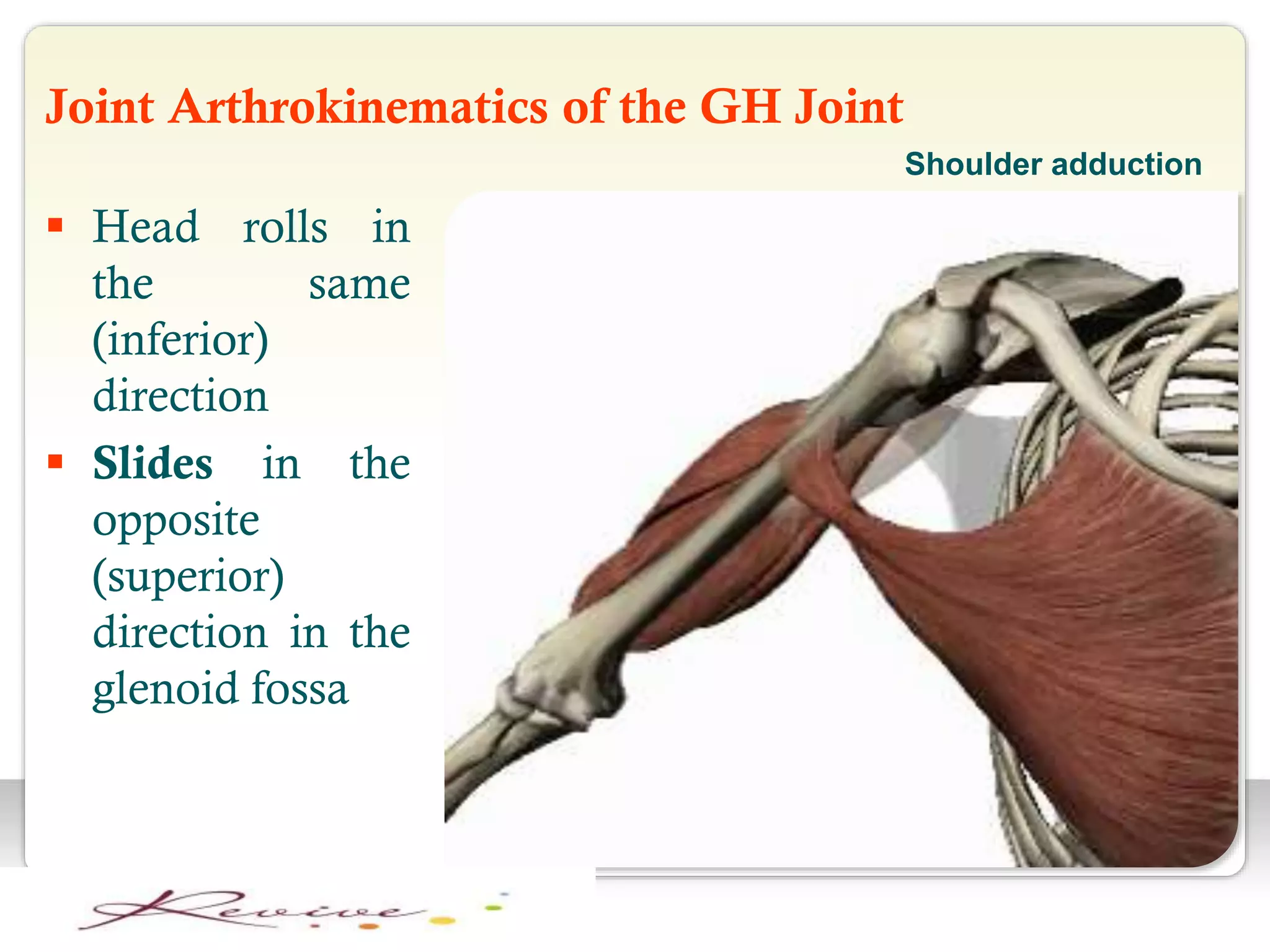 Shoulder girdle | PPTX