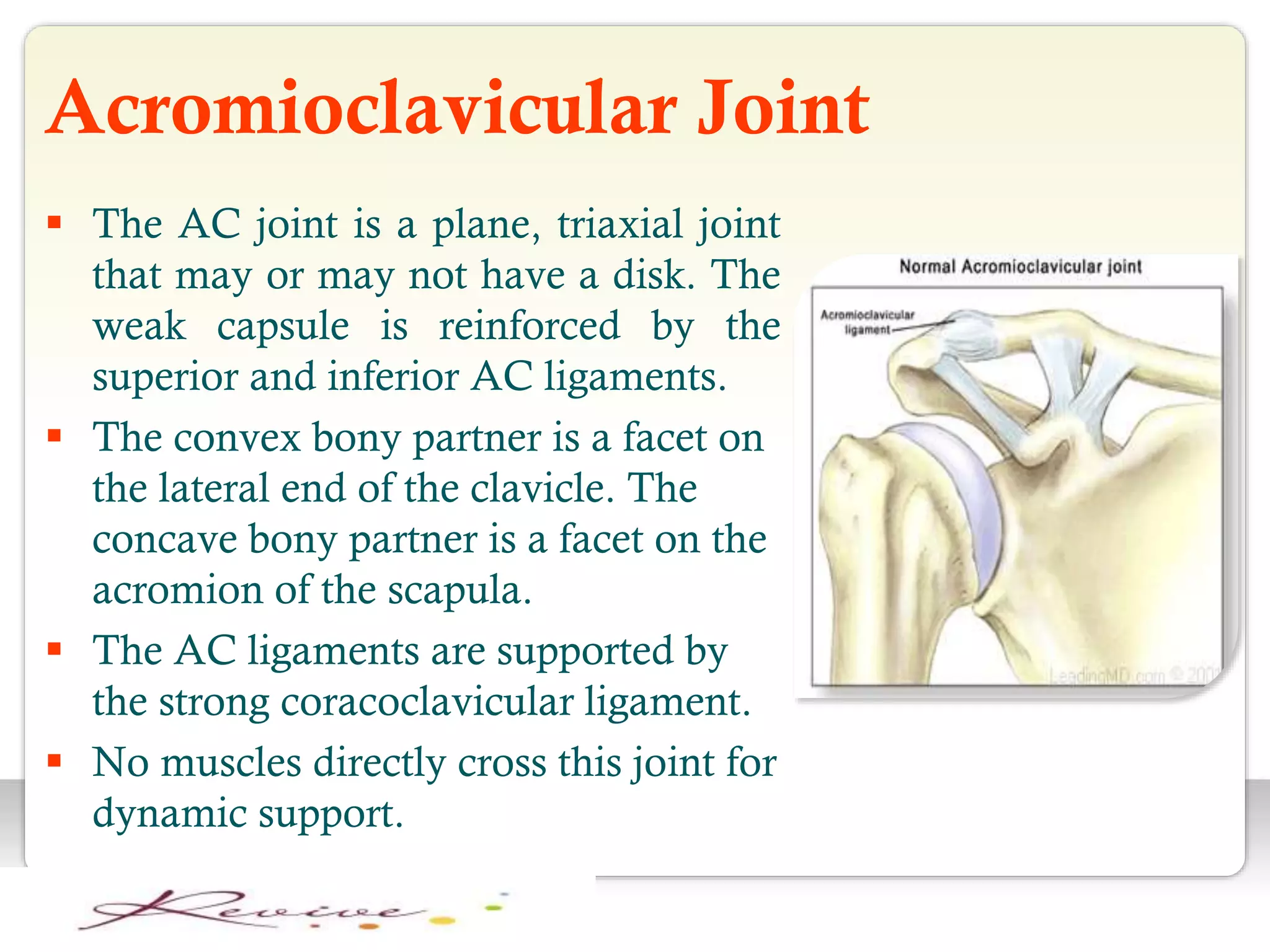 Shoulder girdle | PPTX