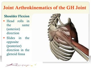 Shoulder girdle | PPTX