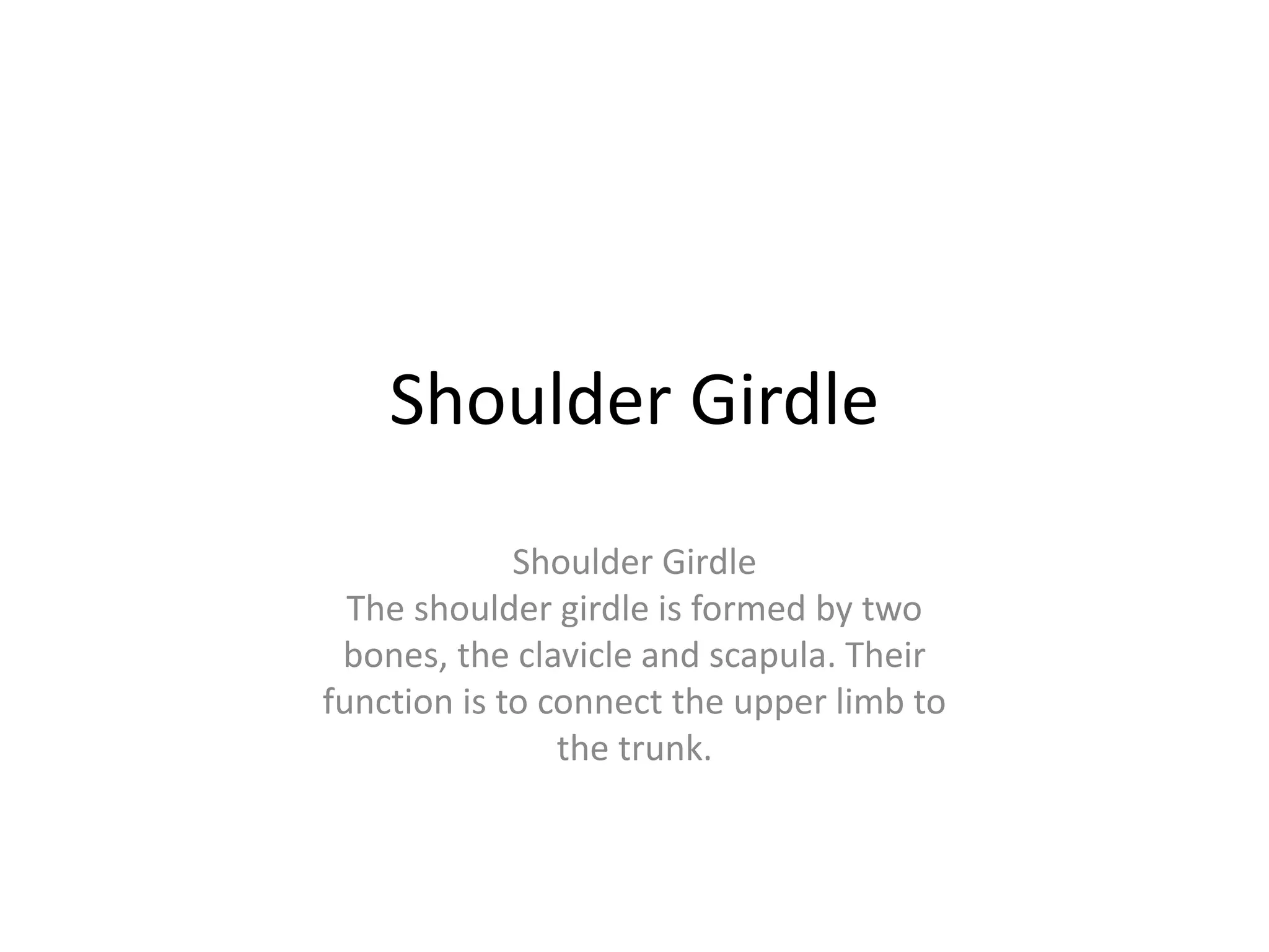 Shoulder girdle presentation | PPTX