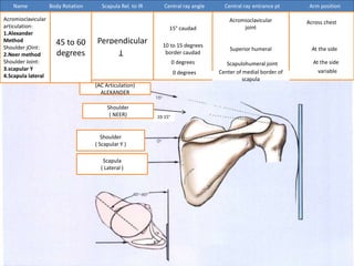 Shoulder girdle presentation | PPTX