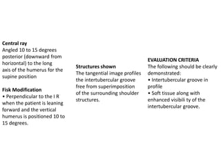 Shoulder girdle presentation | PPTX