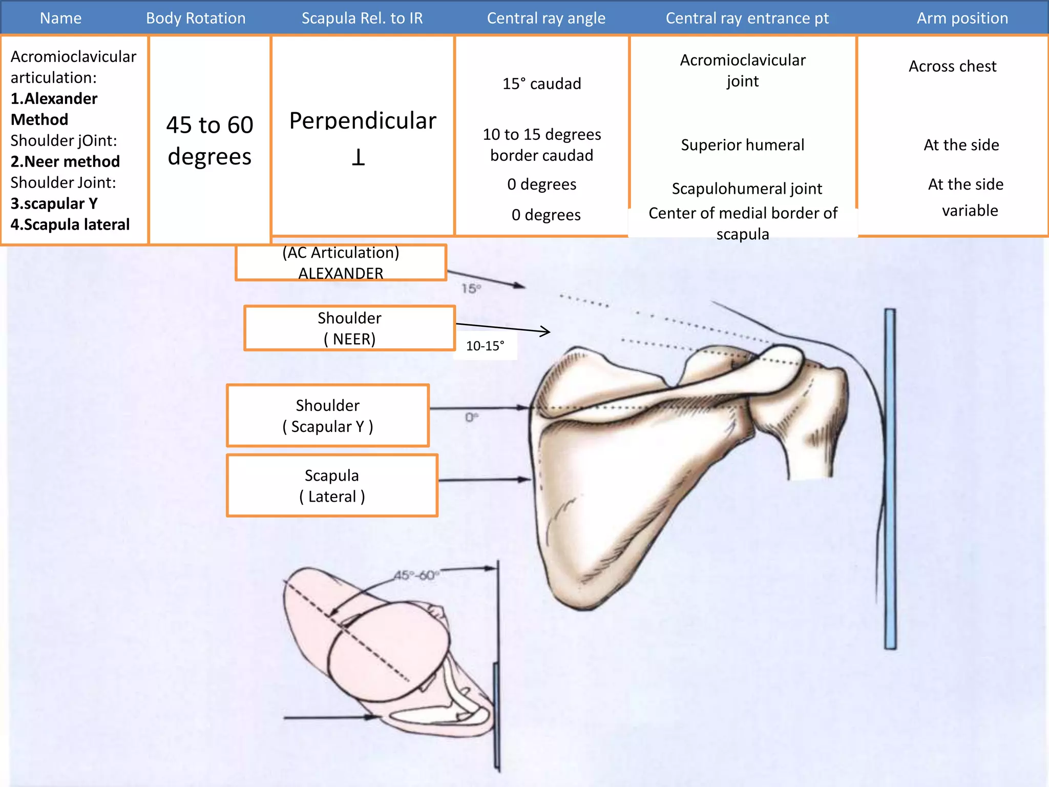 Shoulder girdle presentation | PPTX
