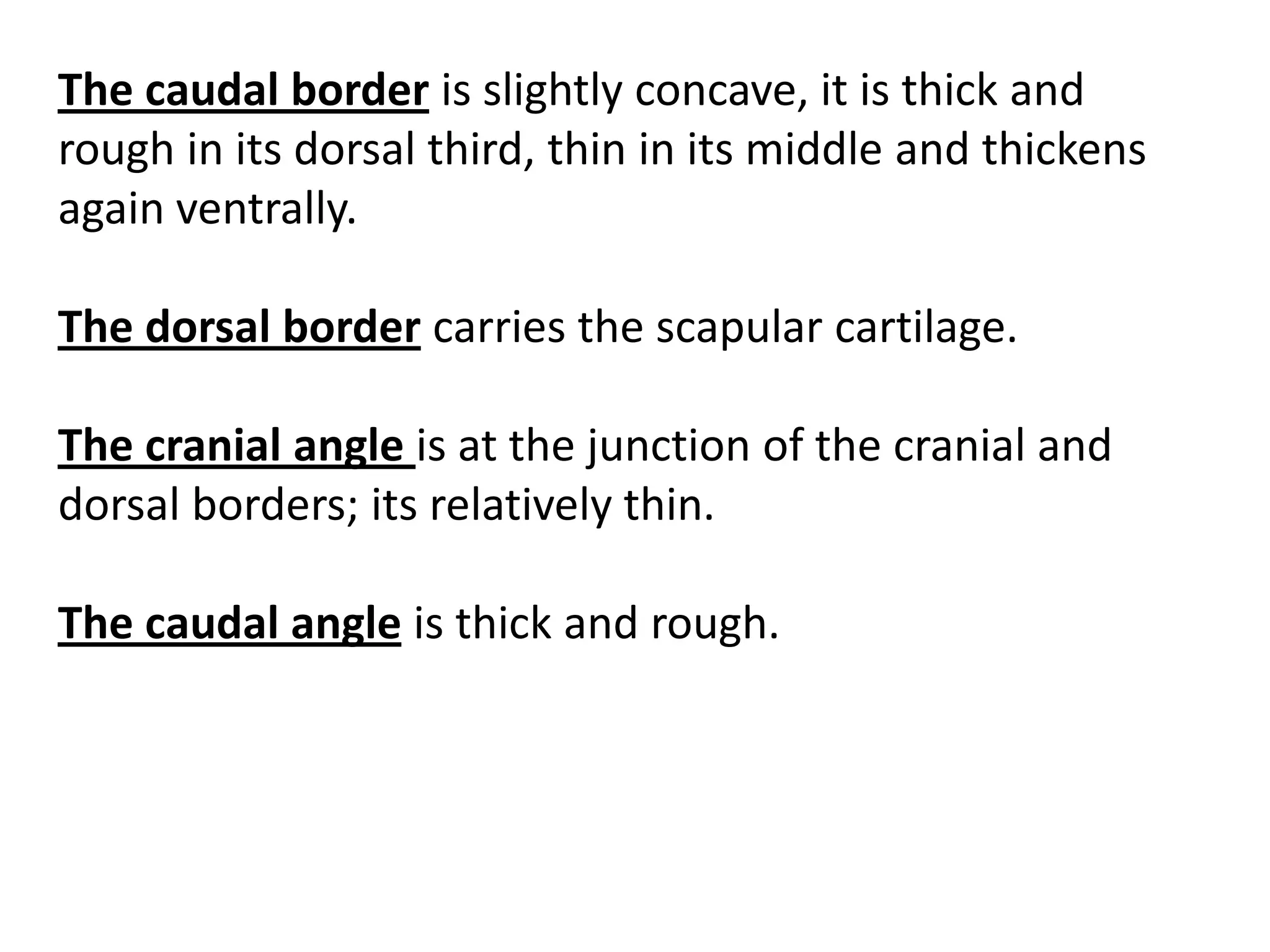 shoulder girdle , scapula.pdf