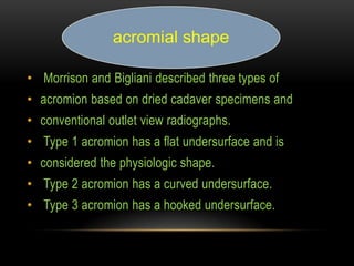 Types Of Acromion Shapes