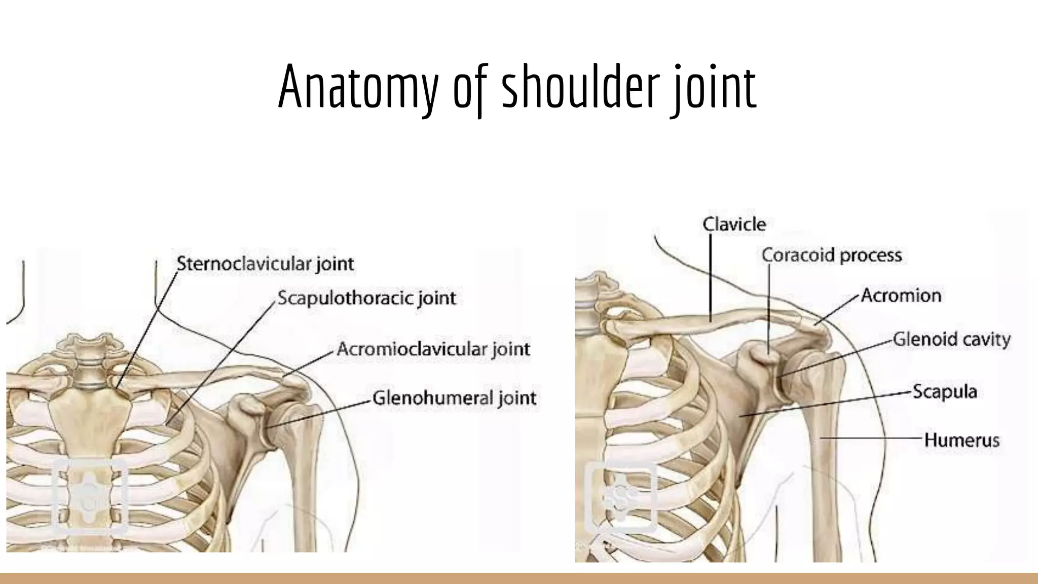 Shoulder impingement syndrome | PPTX