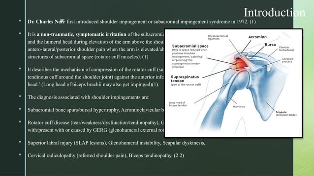 shoulder impingement in sports physiotherapy | PPT