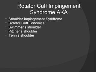 Shoulder Impingement Diagnosis And Rehabilitat | PPT