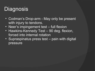 Shoulder Impingement Diagnosis And Rehabilitat | PPT