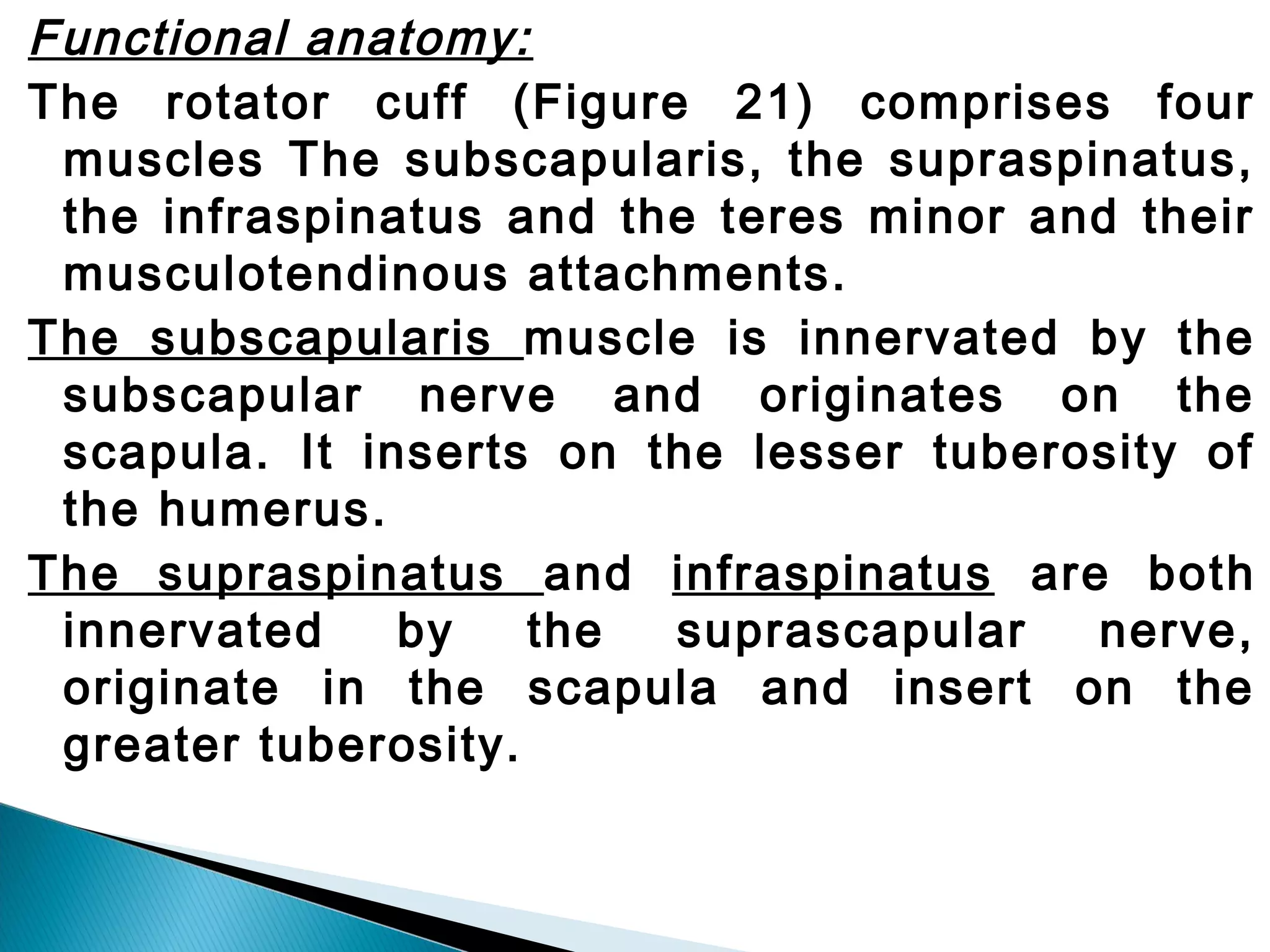 Shoulder impingement syndrome | PPT