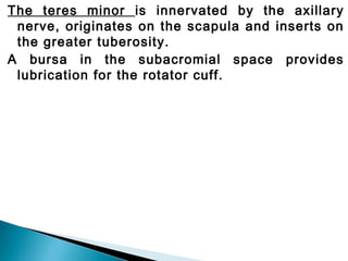 Shoulder impingement syndrome | PPT