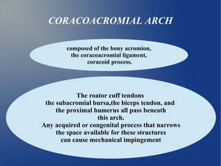 Shoulder impingement syndrome | ODP