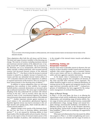 Shoulder Injuries | Throwing Athlete | Orthopedic Surgeon Vail Colorado | PDF
