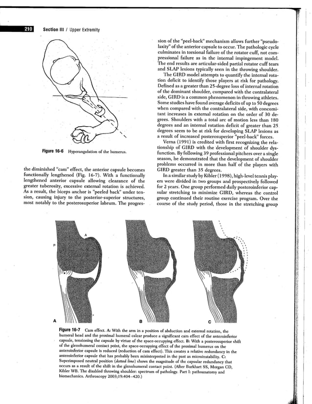 Shoulder Injuries in Throwing Athletes | Peter Millett MD - Shoulder ...