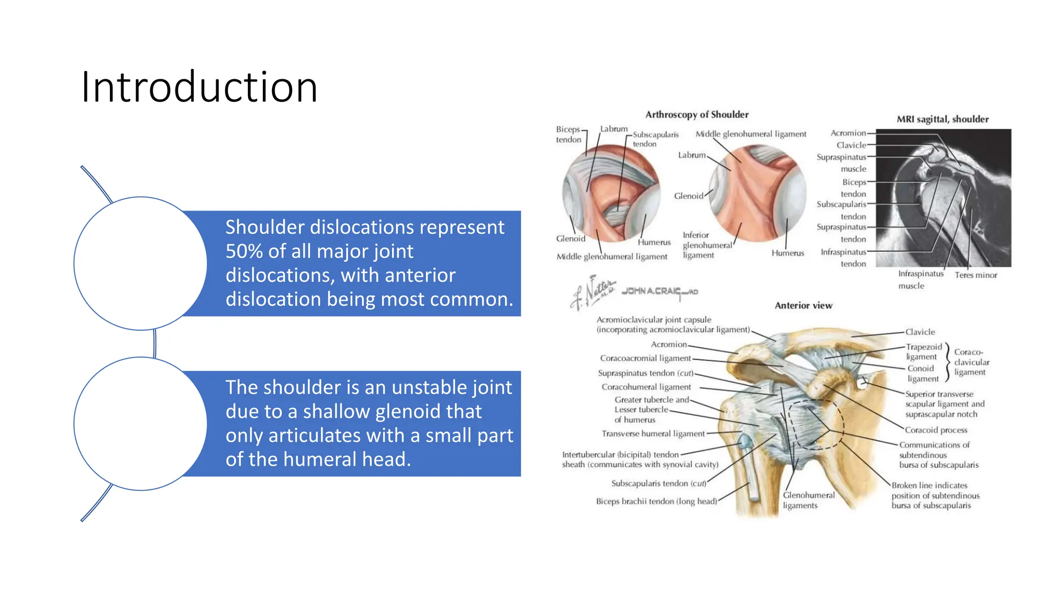 Shoulder Injury klasifikasi dan terapi.pptx