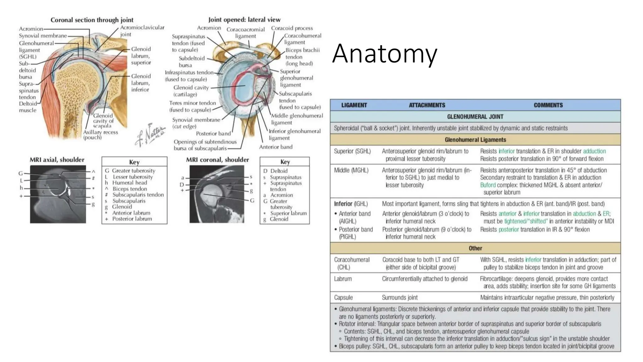 Shoulder Injury klasifikasi dan terapi.pptx