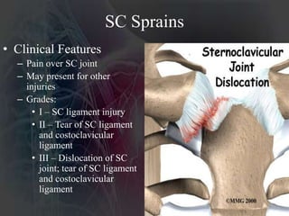 Shoulder injury and back pain | PPTX