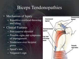Shoulder injury and back pain | PPTX