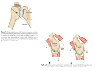Shoulder instability-1.pptx