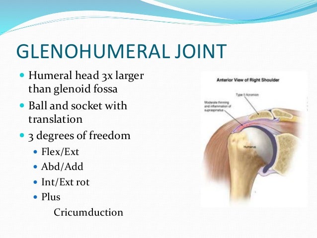 Shoulder Instability