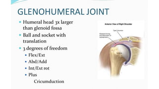 Shoulder instability | PPTX