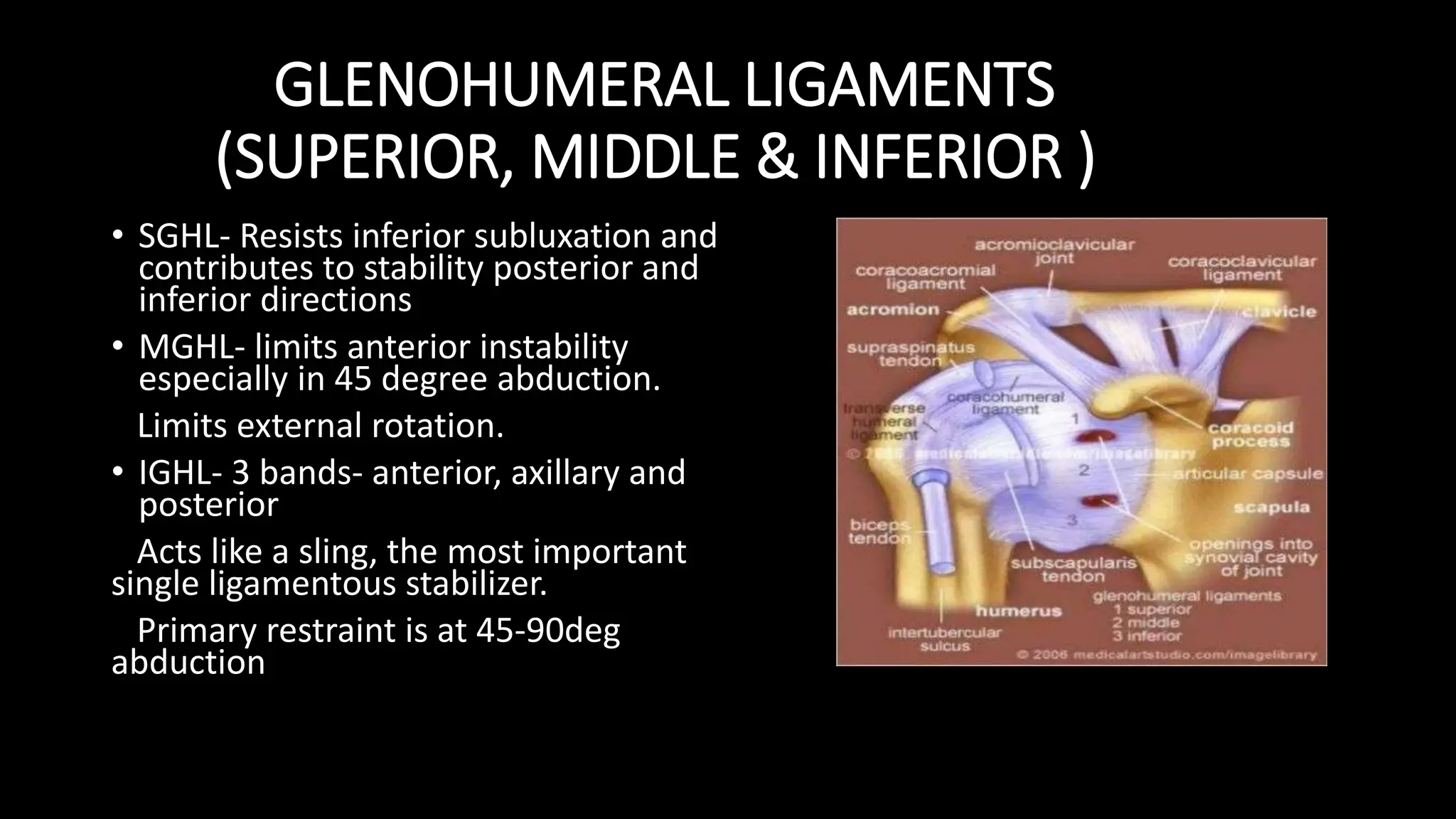 SHOULDER INSTABILITY AIIMS JODHPUR SEMINAR | PPTX