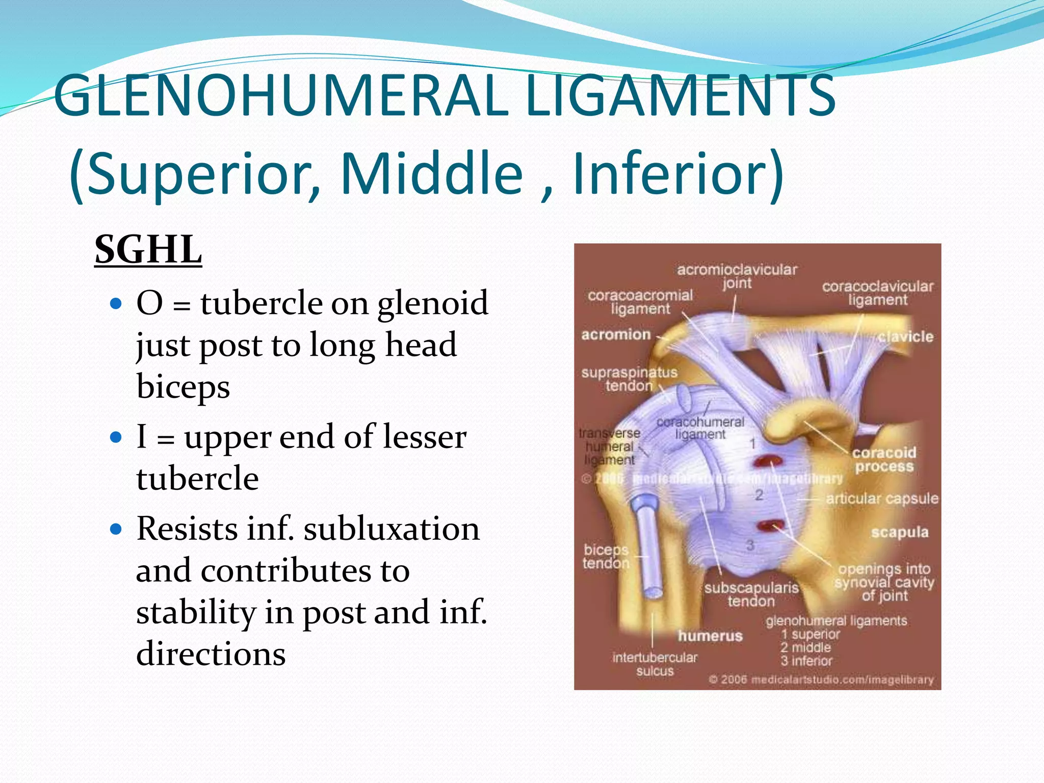 Shoulder instability (anatomy,types, management ) | PPTX