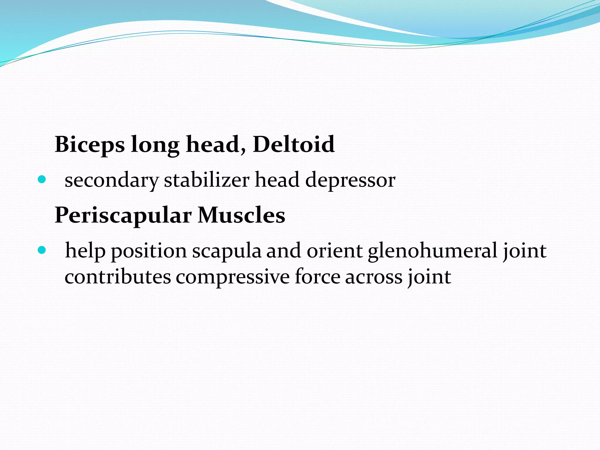 Shoulder instability (anatomy,types, management ) | PPTX