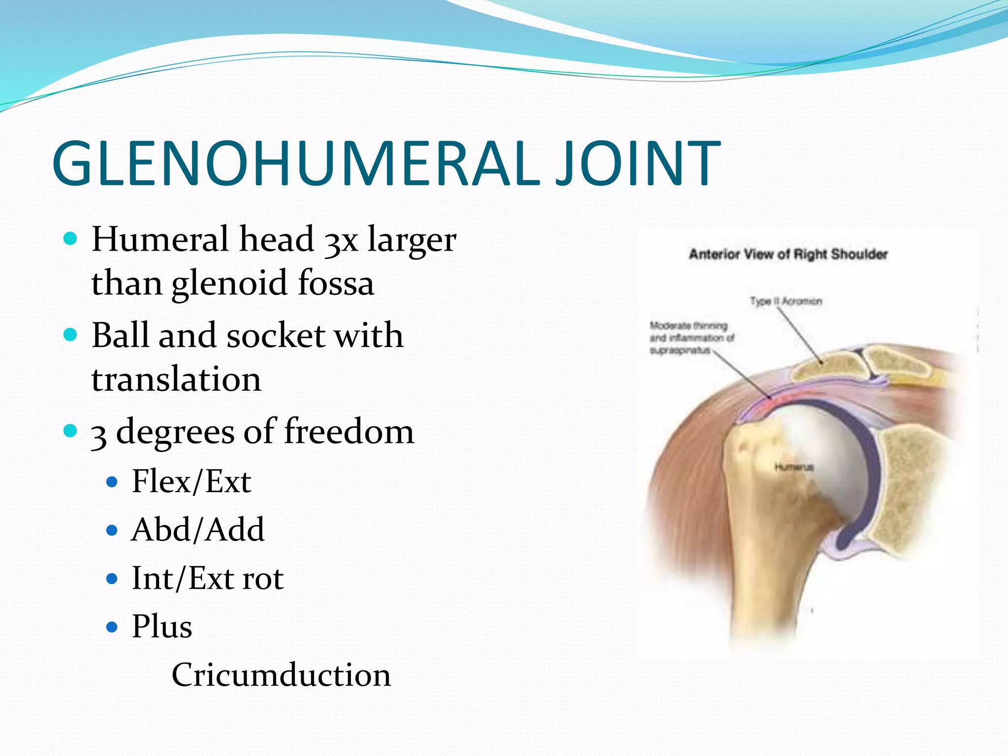 Shoulder instability (anatomy,types, management ) | PPTX