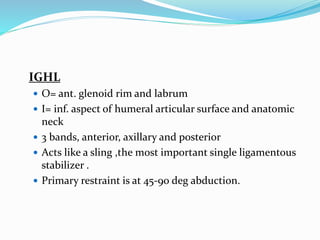 Shoulder instability (anatomy,types, management ) | PPTX