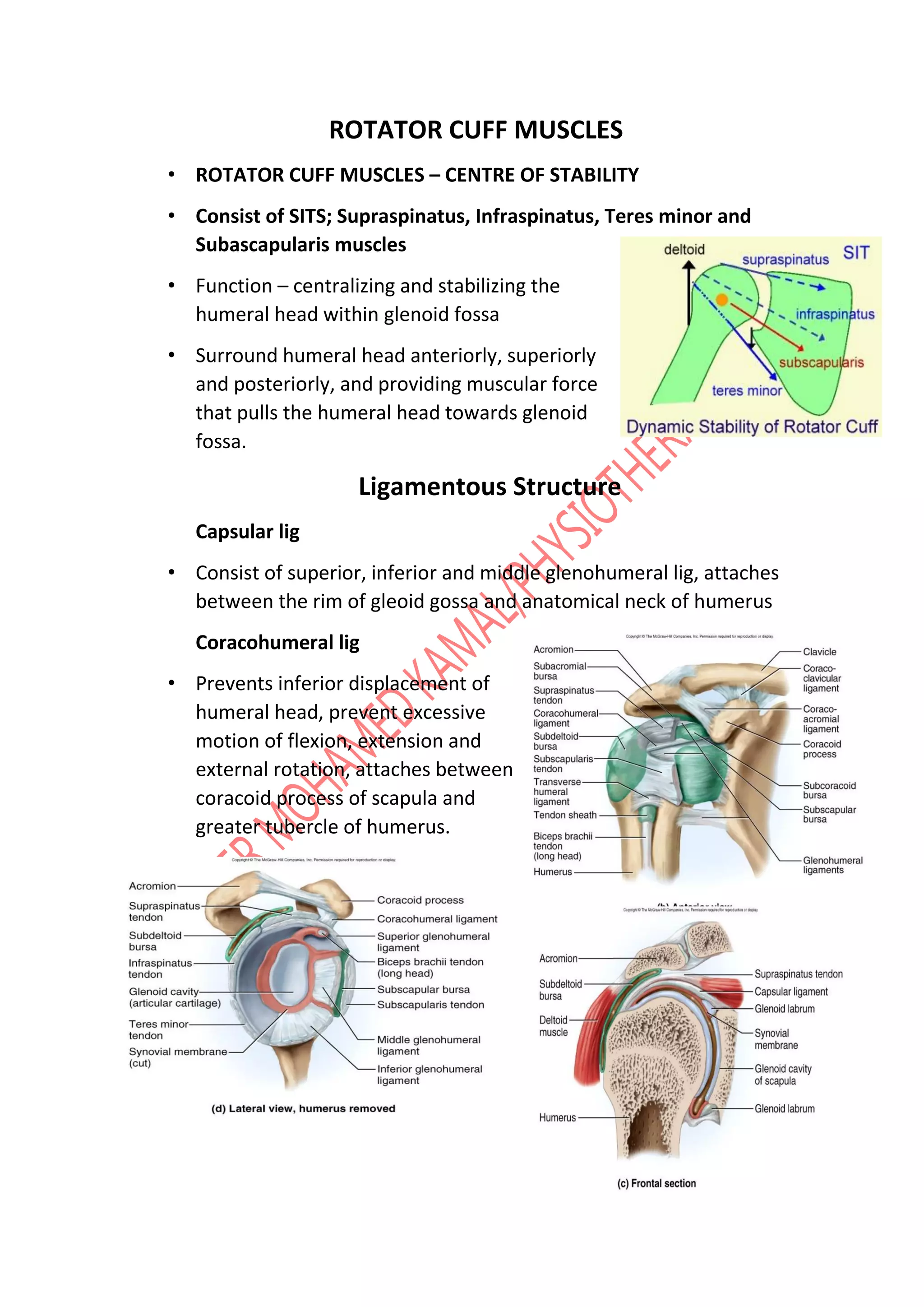 Shoulder joint | PDF