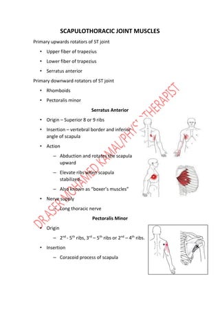 Shoulder joint | PDF
