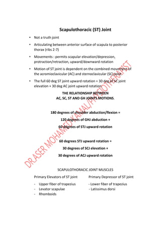 Shoulder joint | PDF