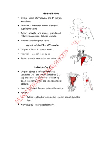 Shoulder joint | PDF