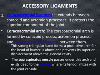 shoulderjoint-180413132615.pptx
