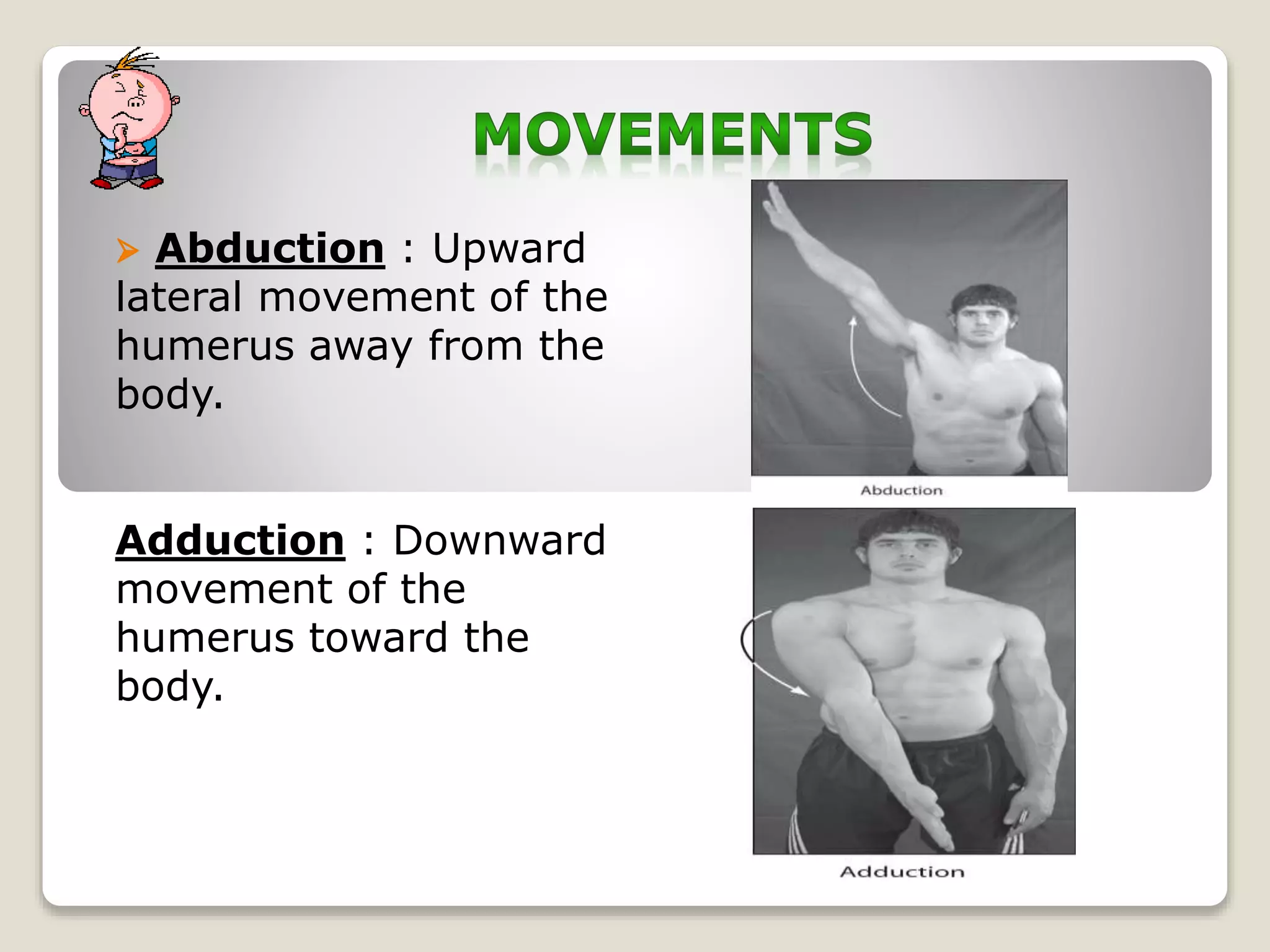 Kinesiology and Biomechanics: Shoulder joint | PPTX
