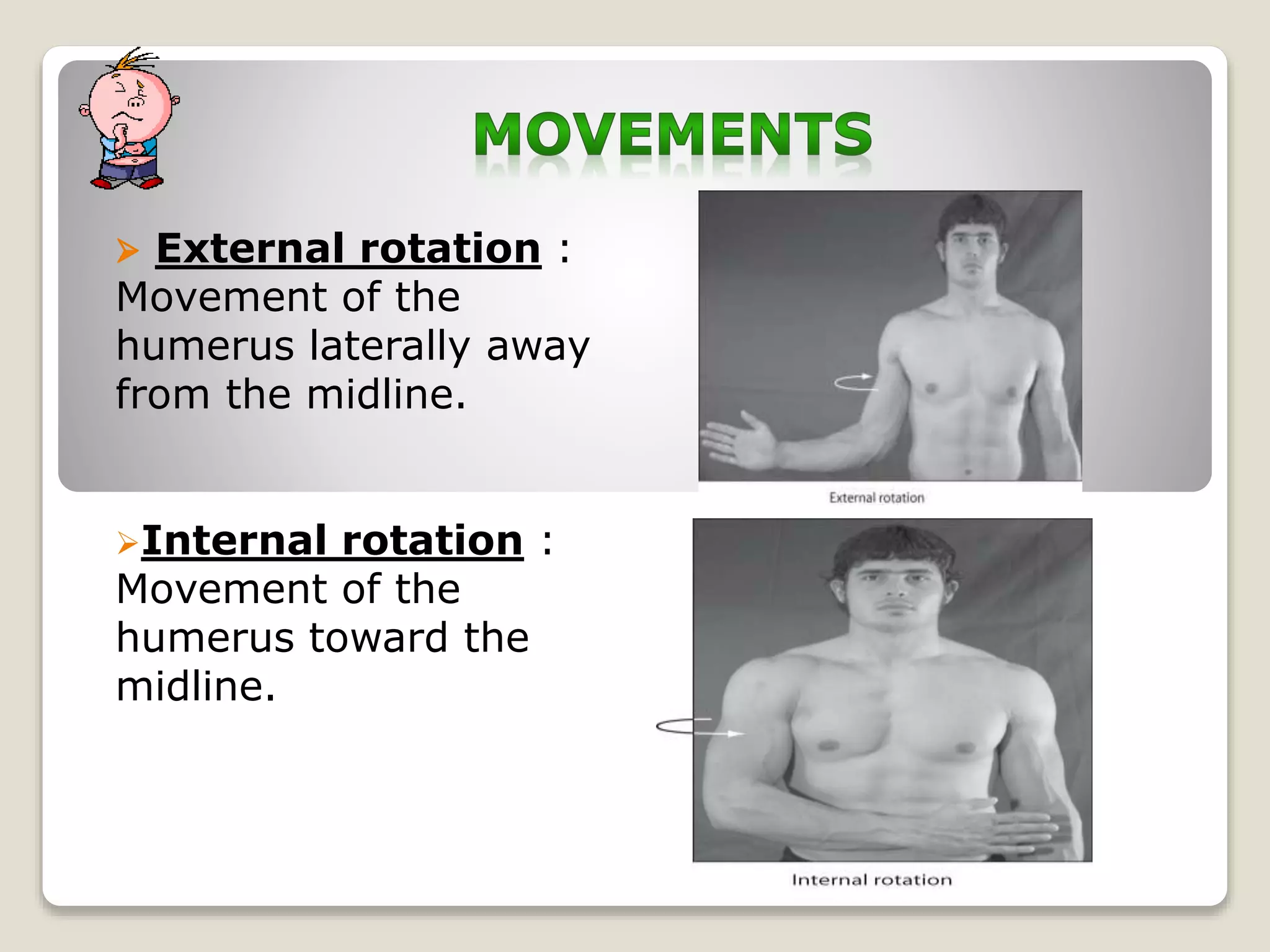 Kinesiology and Biomechanics: Shoulder joint | PPTX