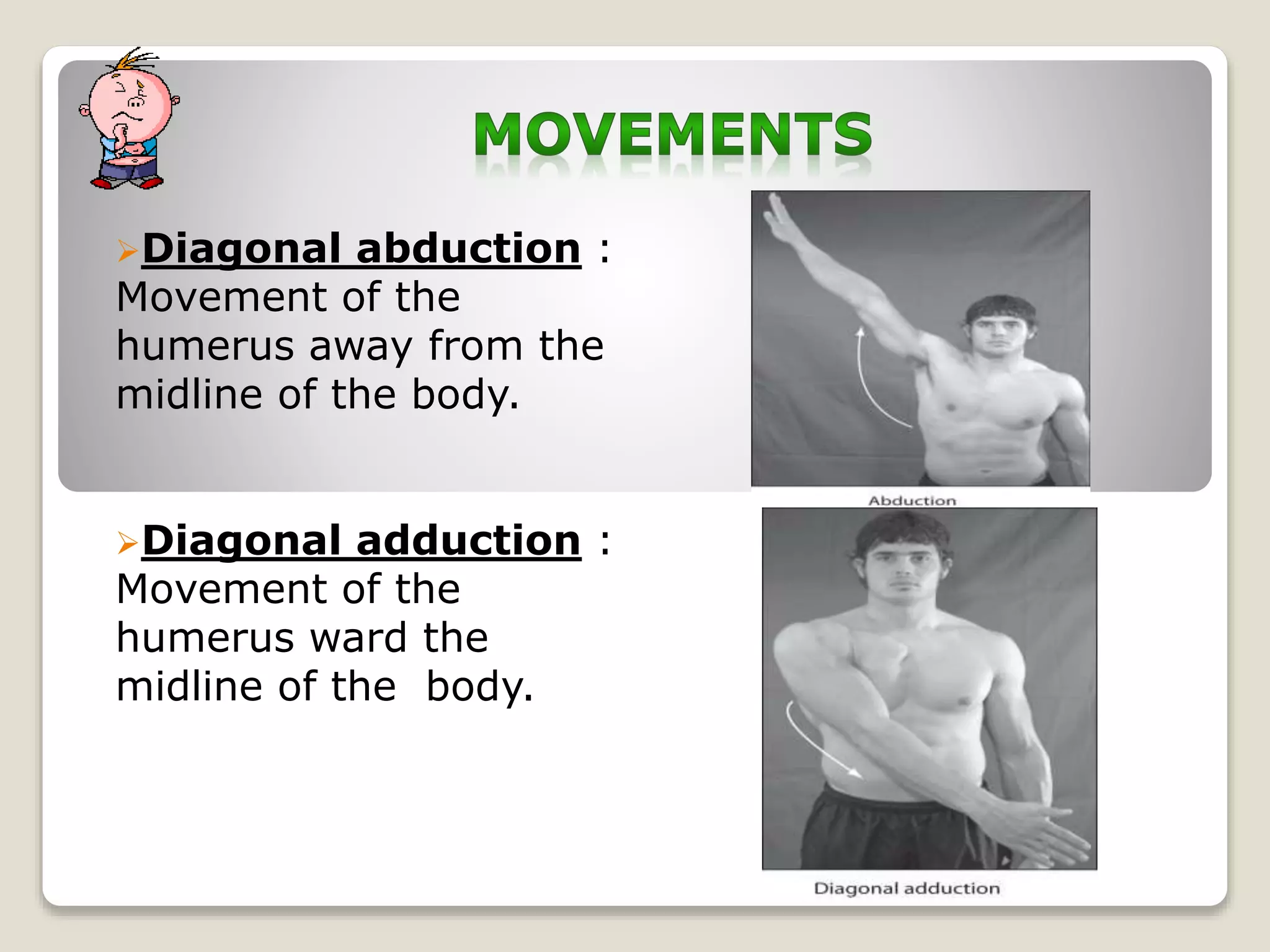 Kinesiology and Biomechanics: Shoulder joint | PPTX