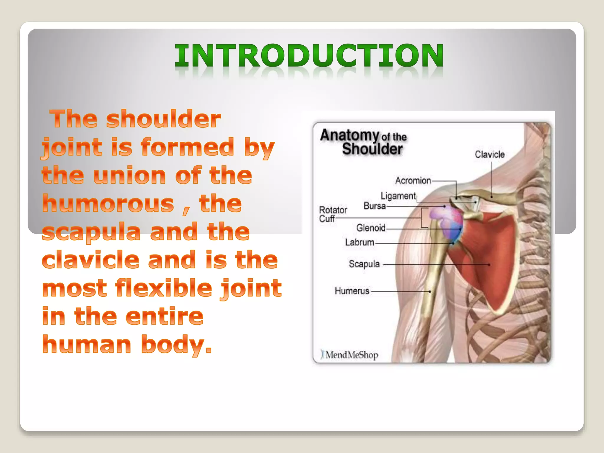Kinesiology and Biomechanics: Shoulder joint | PPTX