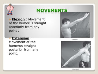 Kinesiology and Biomechanics: Shoulder joint | PPTX | Death, Injury, or ...