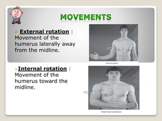 Kinesiology and Biomechanics: Shoulder joint | PPTX | Death, Injury, or ...