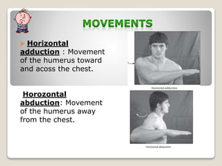 Kinesiology and Biomechanics: Shoulder joint | PPTX
