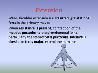 Shoulder joint (Biomechanics, Anatomy, Kinesiology)by Muhammad Arslan ...