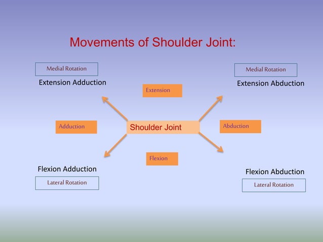 Shoulder joint (Biomechanics, Anatomy, Kinesiology)by Muhammad Arslan ...