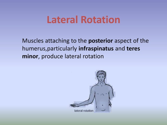 Shoulder joint (Biomechanics, Anatomy, Kinesiology)by Muhammad Arslan ...