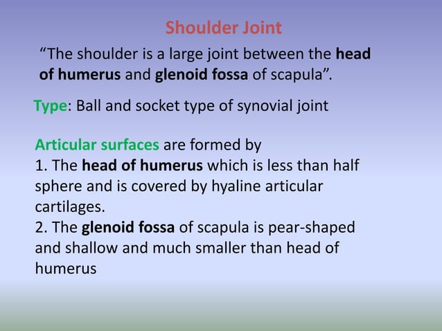 Shoulder joint (Biomechanics, Anatomy, Kinesiology)by Muhammad Arslan ...
