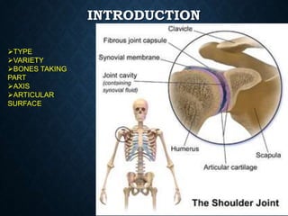 Anatomy of Shoulder joint | PPT